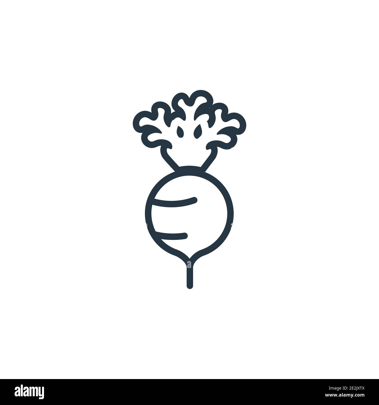 Radishes outline vector icon. Thin line black radishes icon, flat ...