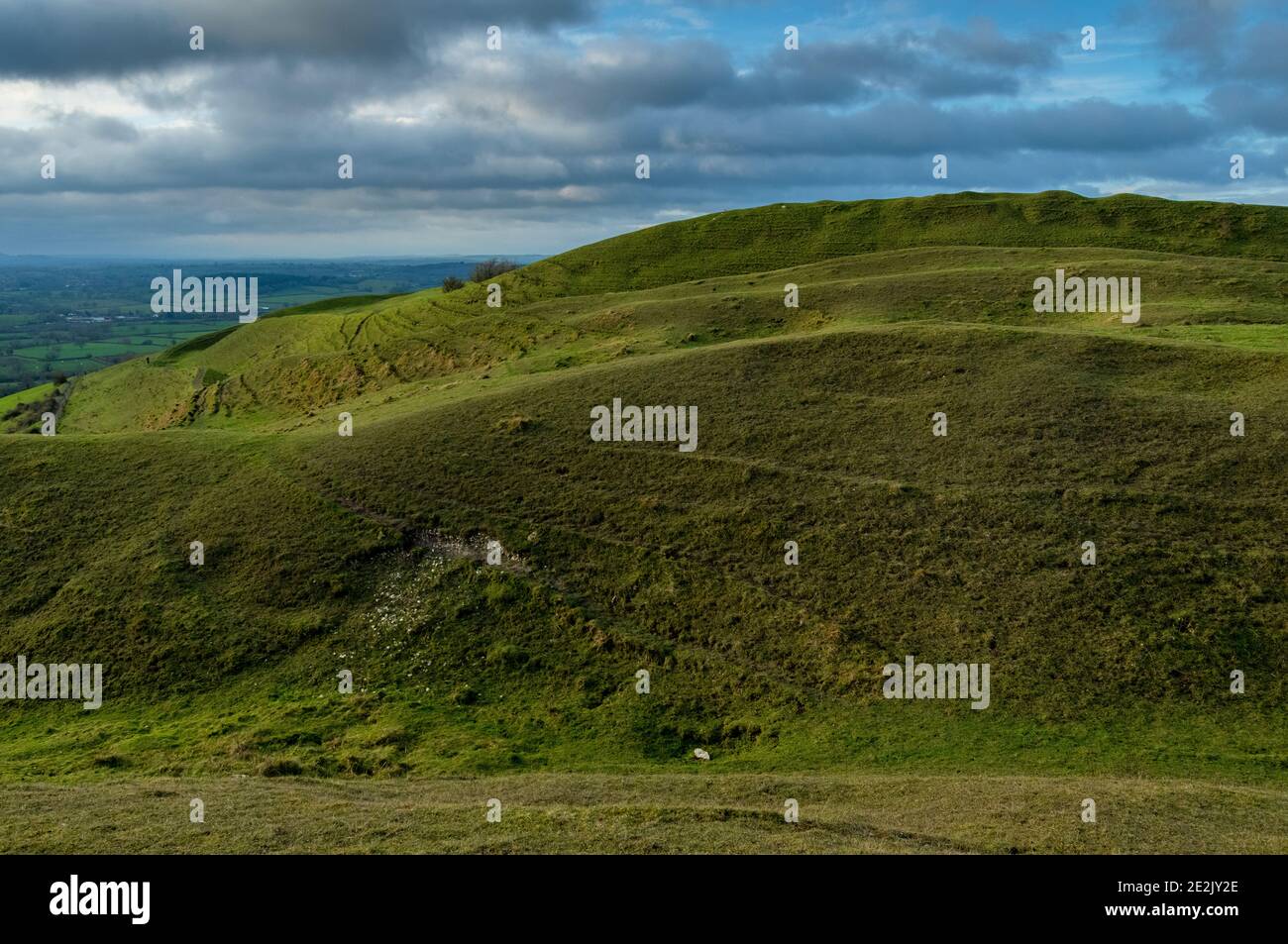 Hambledon Hill, a prehistoric mainly Iron Age hill fort, on chalk in ...