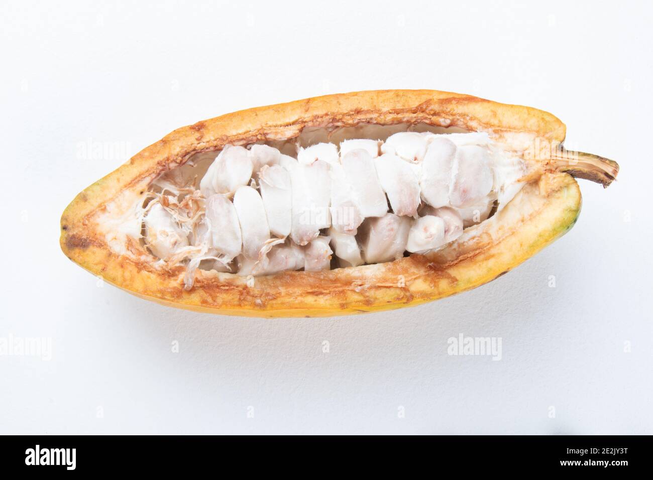 Ripe cocoa fruit cut on white background Stock Photo - Alamy