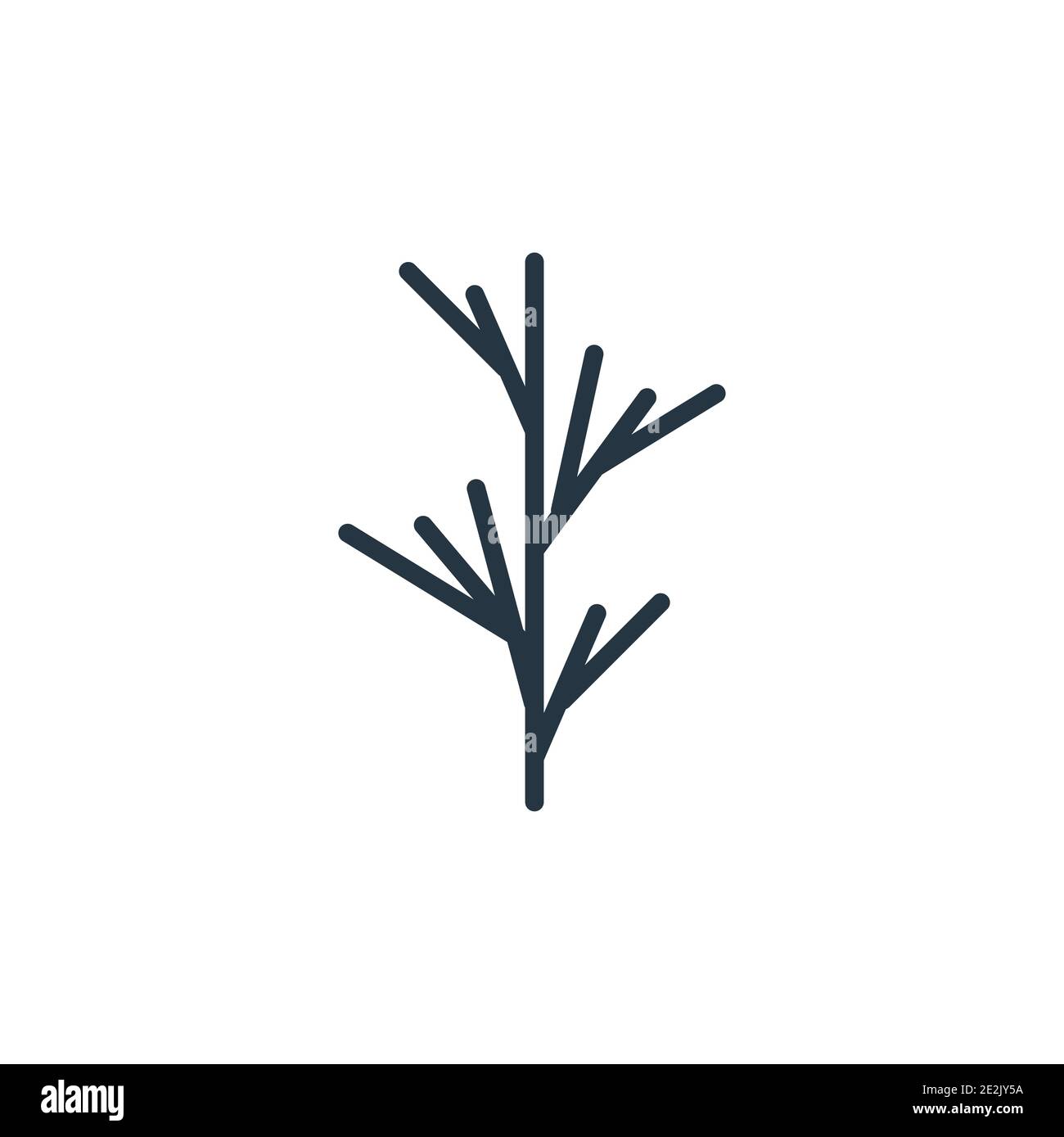 Dill outline vector icon. Thin line black dill icon, flat vector simple ...