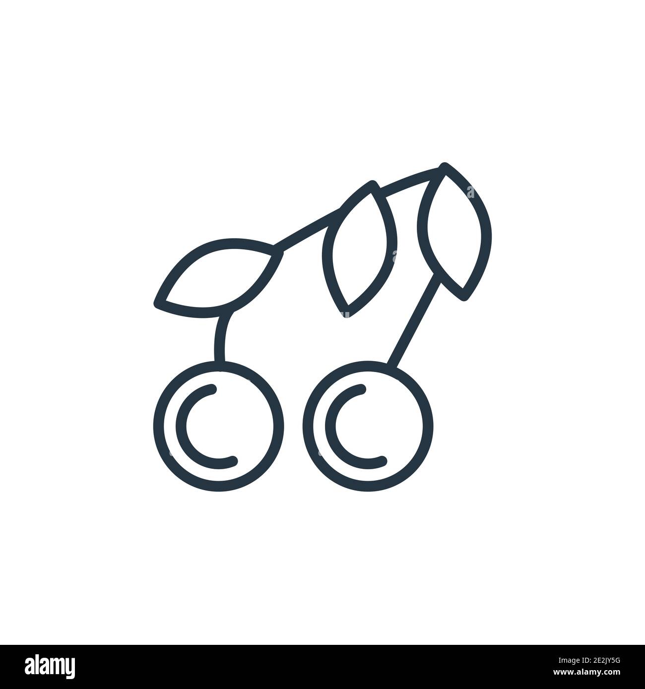 Cherry outline vector icon. Thin line black cherry icon, flat vector ...