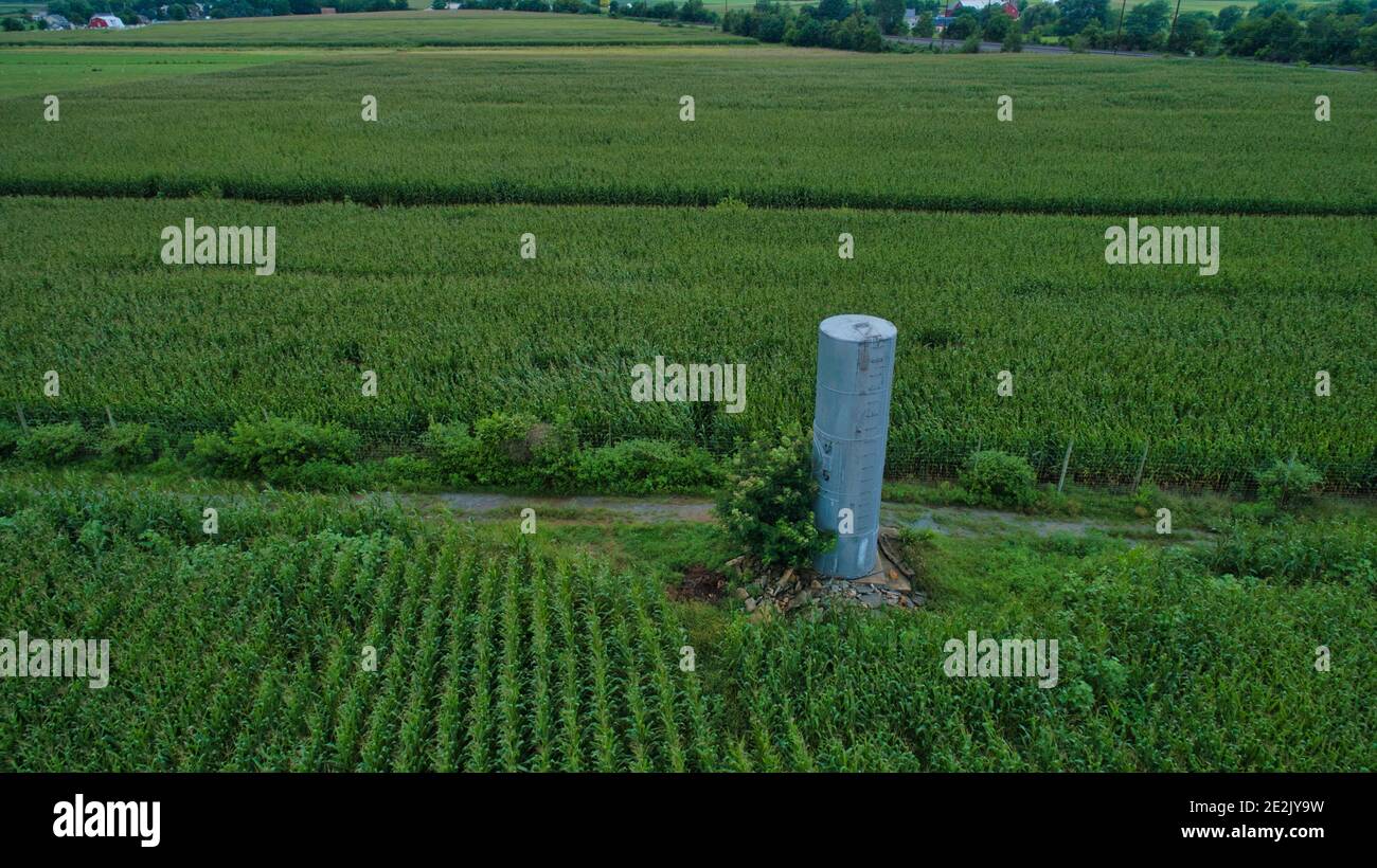 Aerial View for Rows of Corn Growing and Farms with a Water Tower under ...