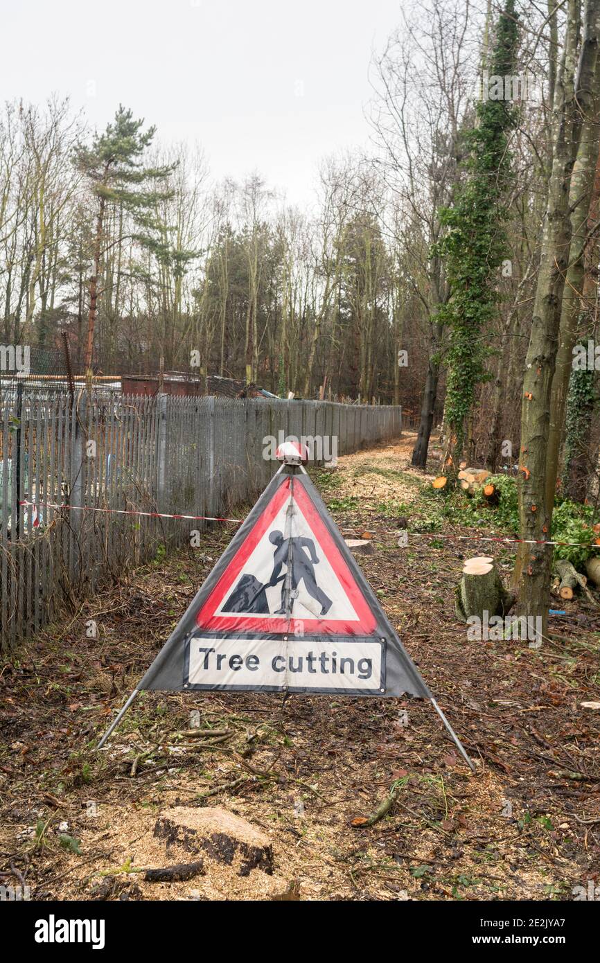 Tree cutting warning sign hi-res stock photography and images - Alamy