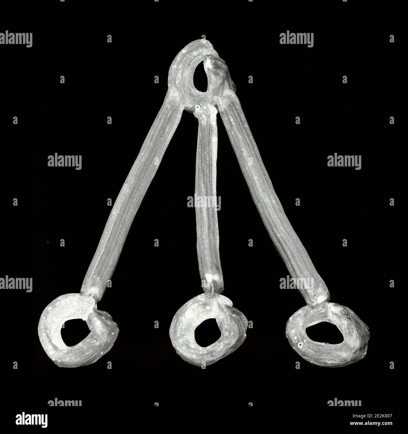 Heinrich Cornelius Agrippa Of Occult Philosophy 1651 Malachim Alphabet ...