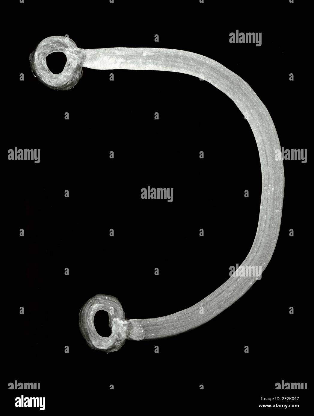 Heinrich Cornelius Agrippa Of Occult Philosophy 1651 Malachim Alphabet ...