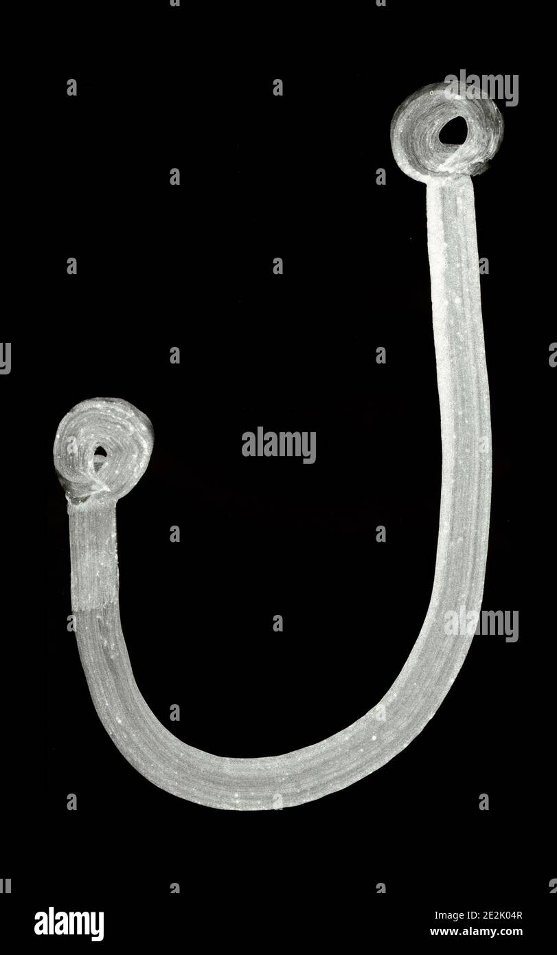 Heinrich Cornelius Agrippa Of Occult Philosophy 1651 Malachim Alphabet ...