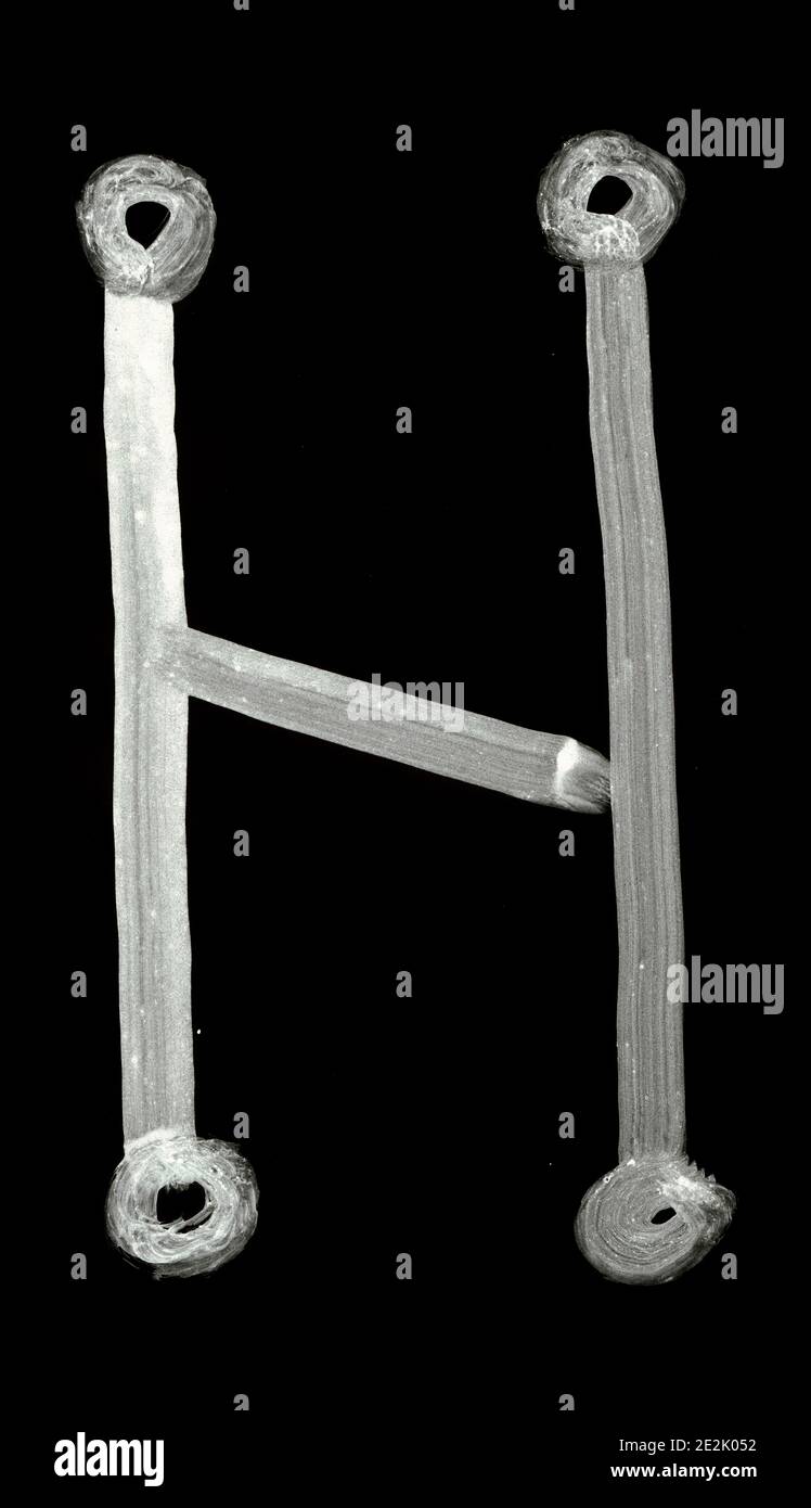 Heinrich Cornelius Agrippa Of Occult Philosophy 1651 Malachim Alphabet ...