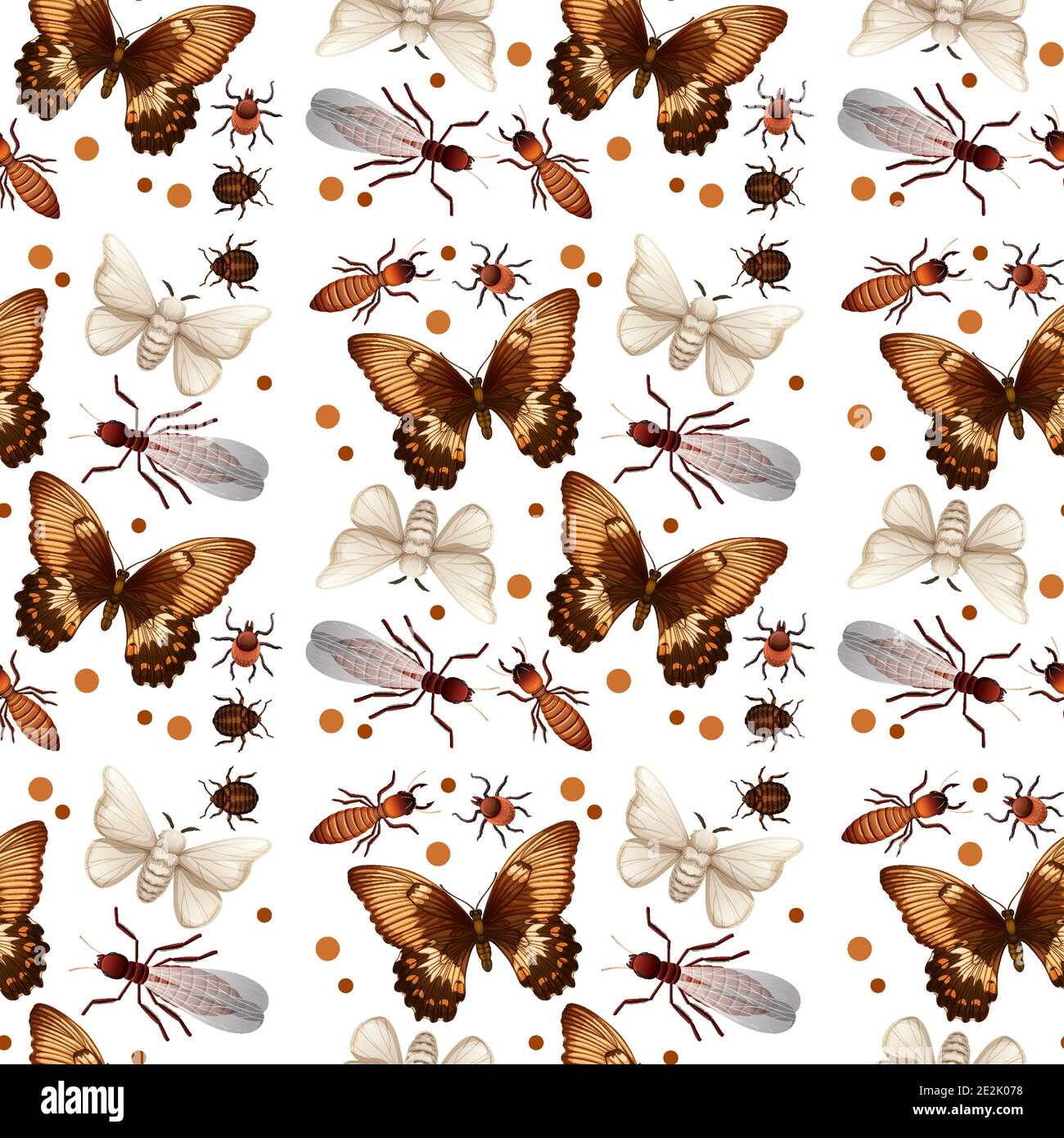 Different insects seamless pattern white background illustration Stock ...