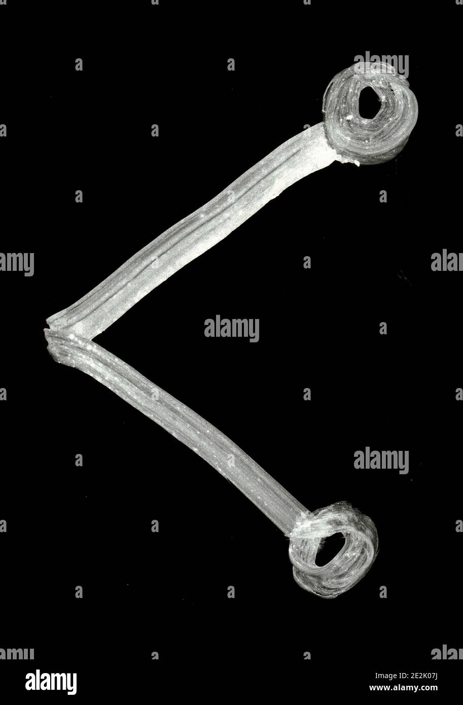 Heinrich Cornelius Agrippa Of Occult Philosophy 1651 Passing of the ...