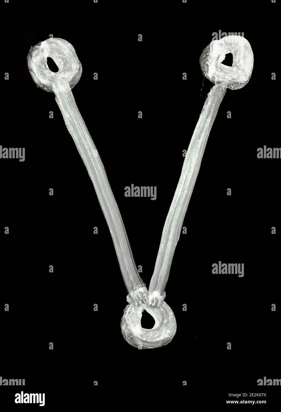 Heinrich cornelius agrippa hi-res stock photography and images - Alamy