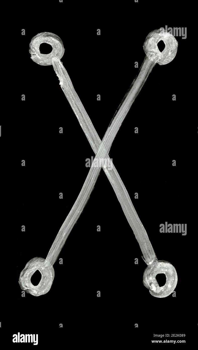 Heinrich Cornelius Agrippa Of Occult Philosophy 1651 Malachim Alphabet ...