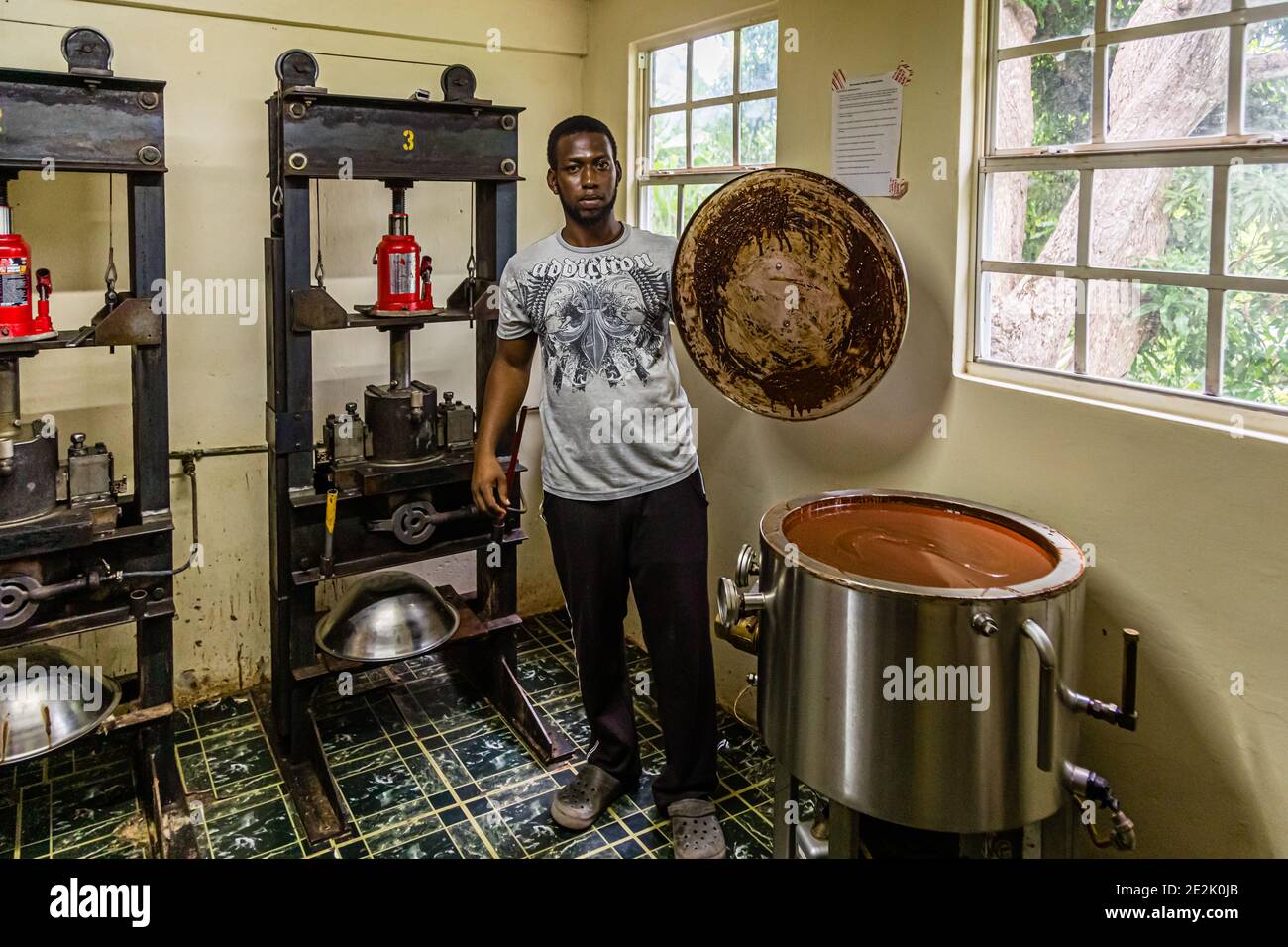 Sustainable chocolate production in Grenada Stock Photo - Alamy
