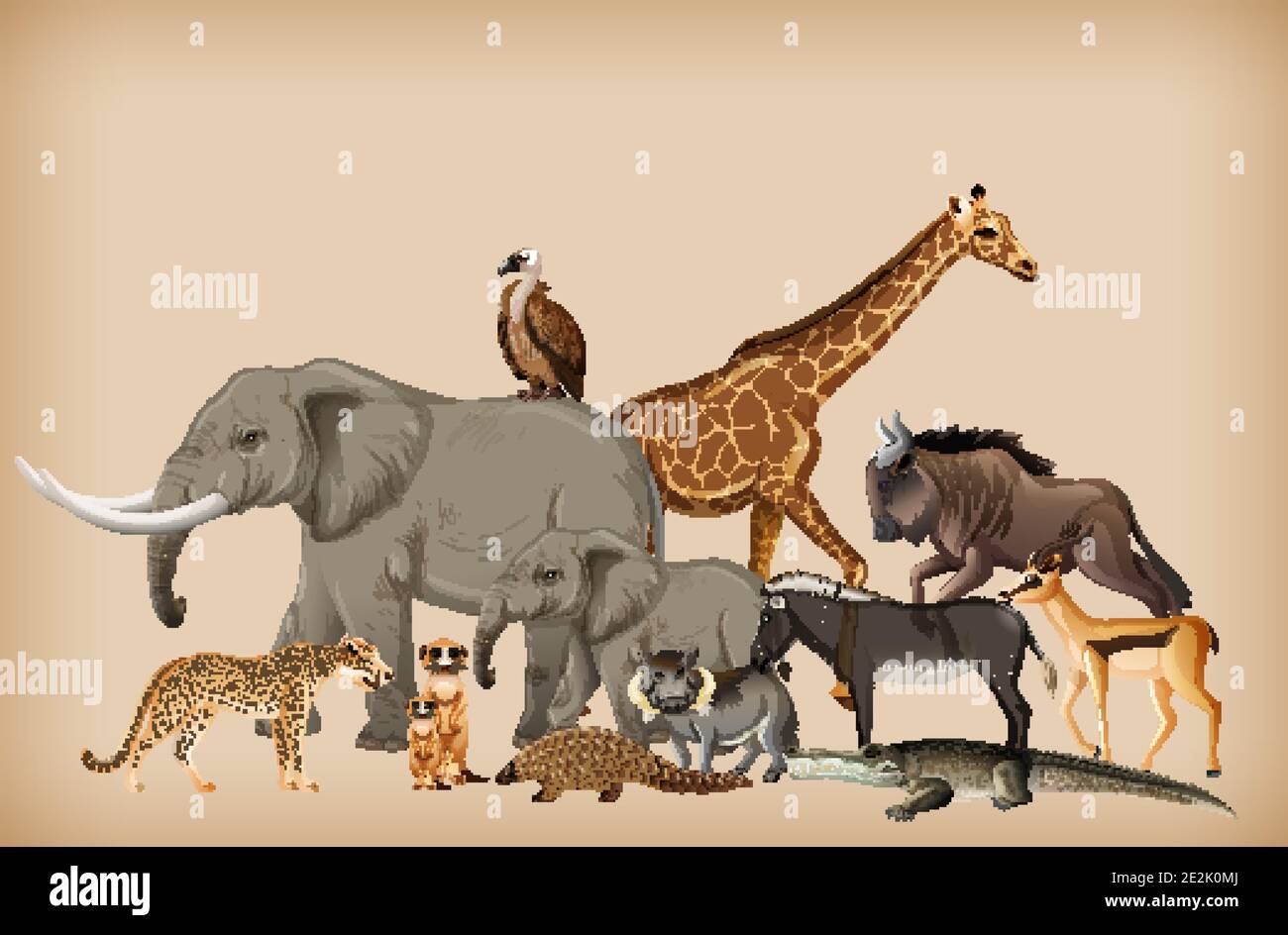 Group of wild animal on background illustration Stock Vector Image ...