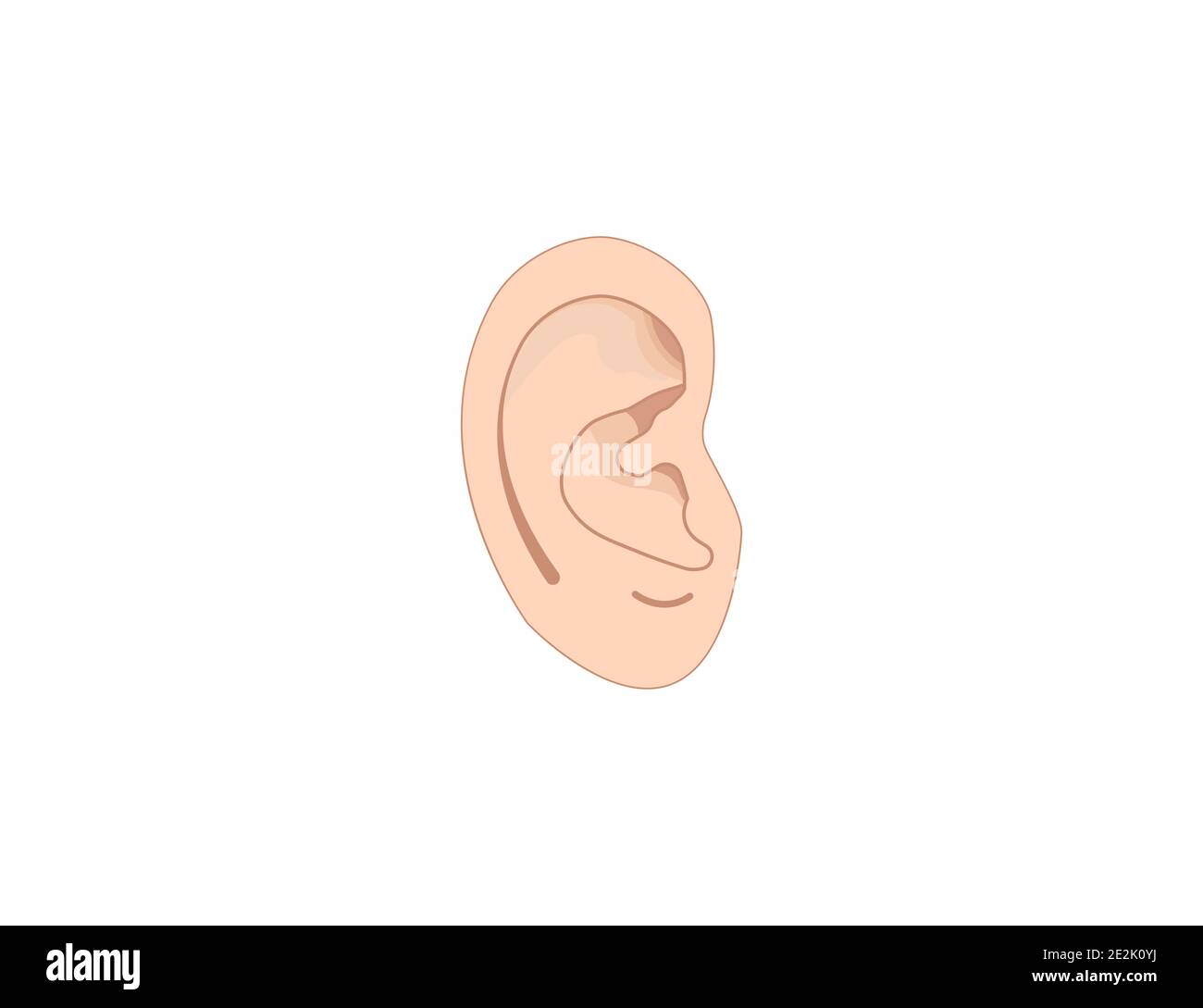 Human ear, anatomy icon Vector illustration Stock Vector Image & Art ...