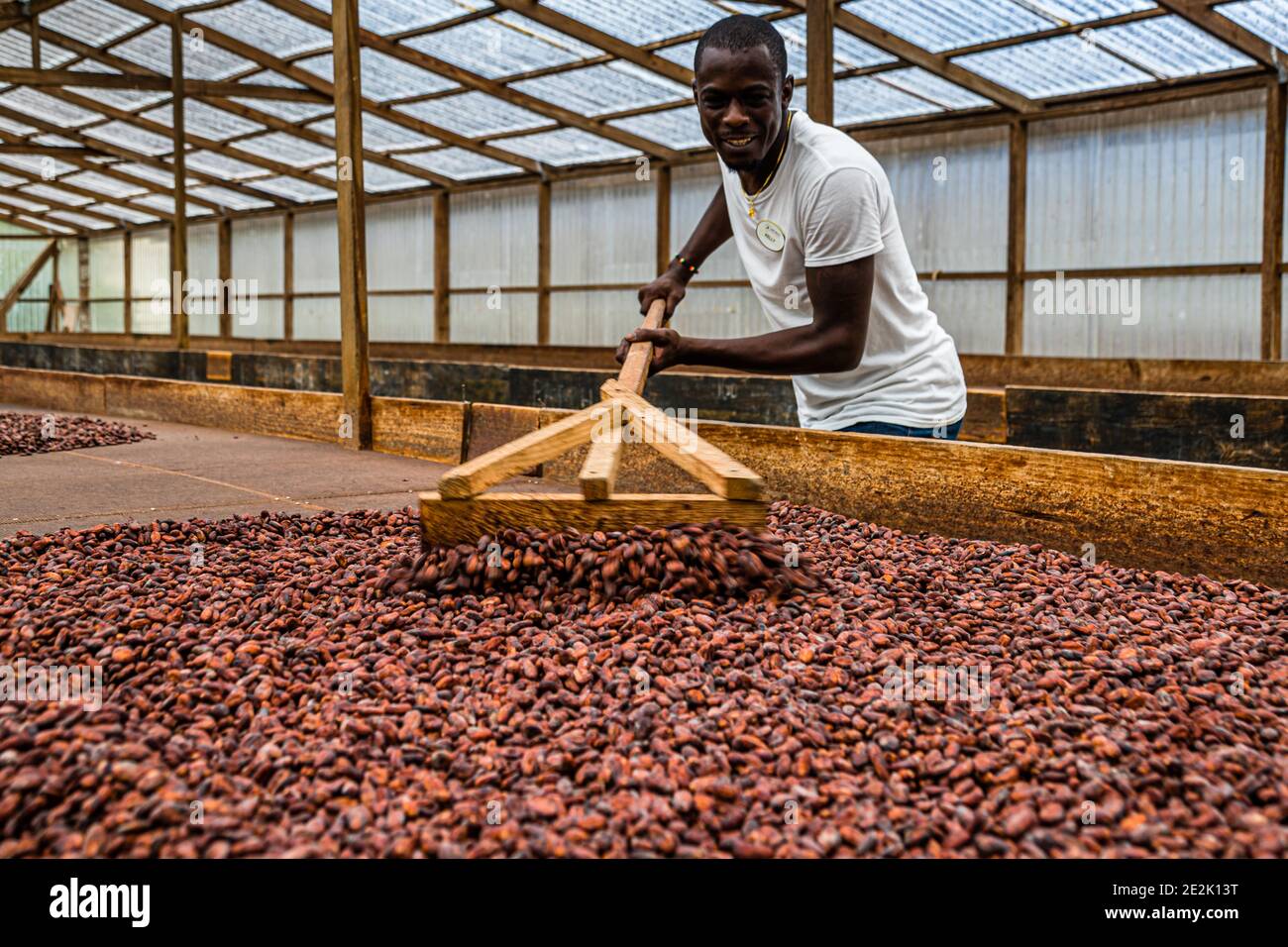 Cocoa Bean Drying Rack in Grenada Stock Photo - Alamy