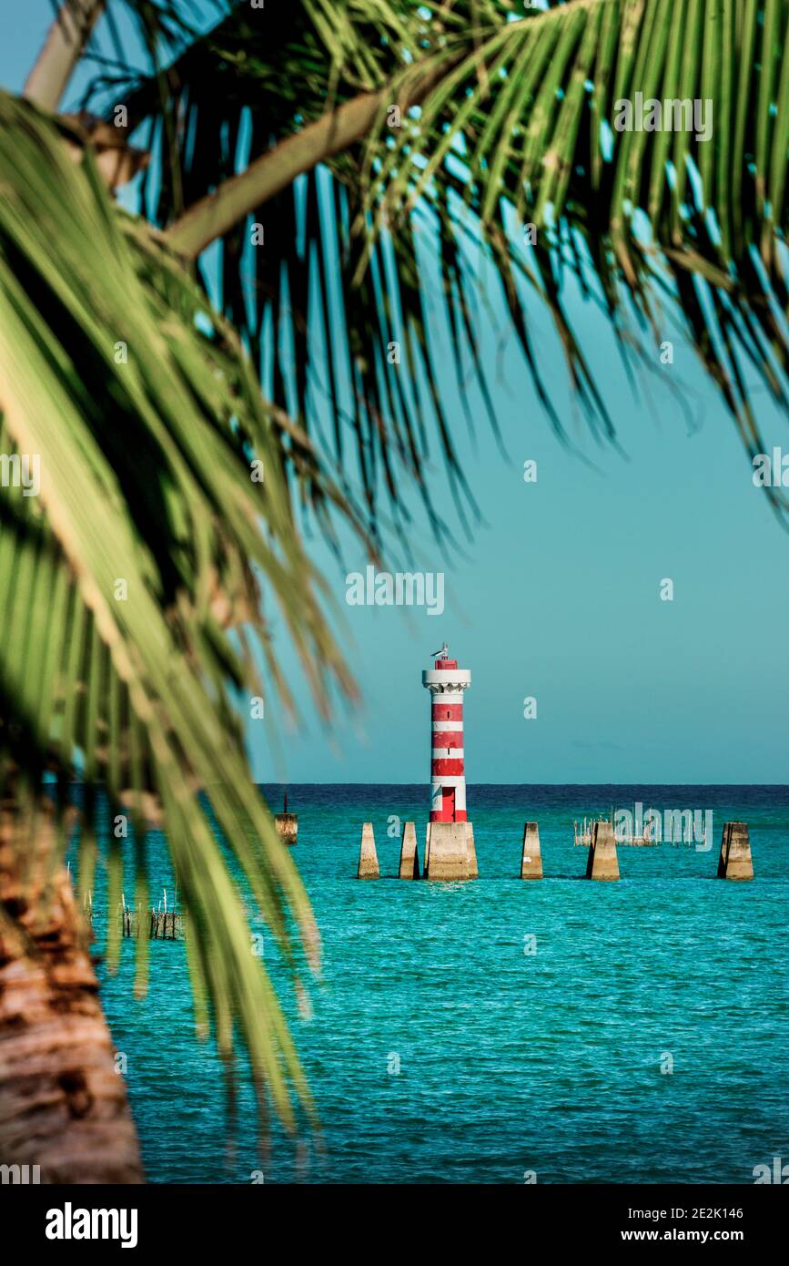 Imagenes hi-res stock photography and images - Alamy