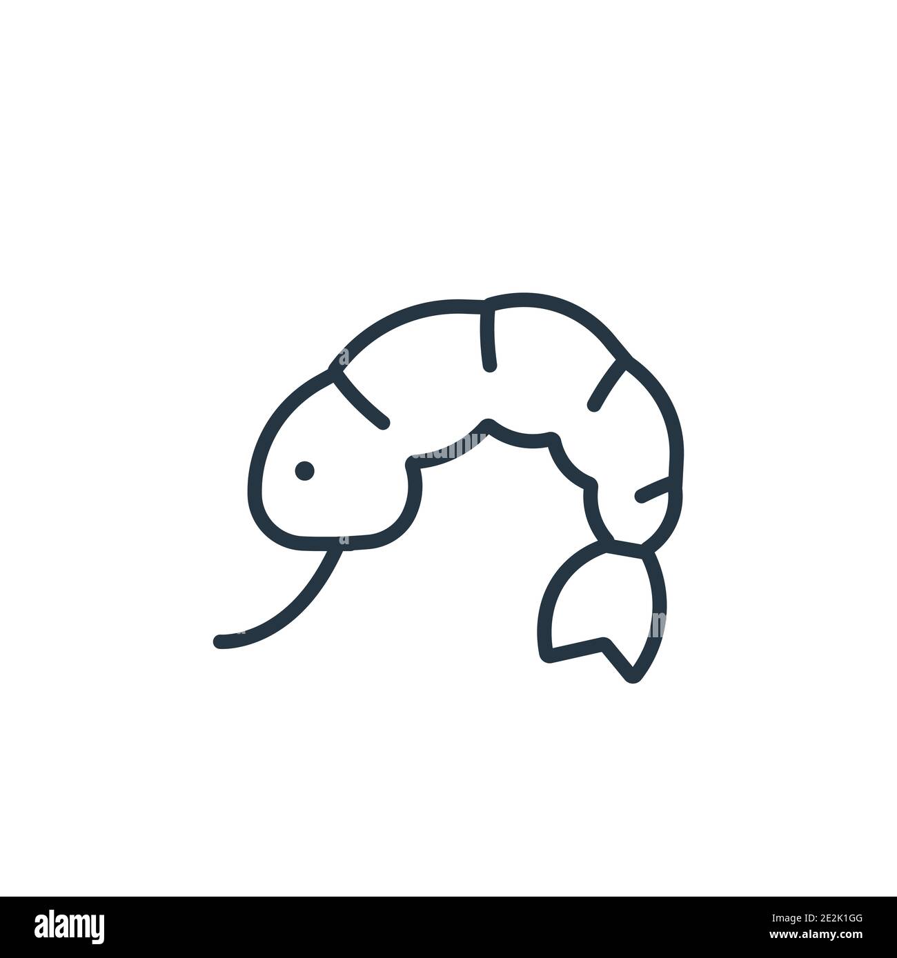 Shrimp outline vector icon. Thin line black shrimp icon, flat vector ...