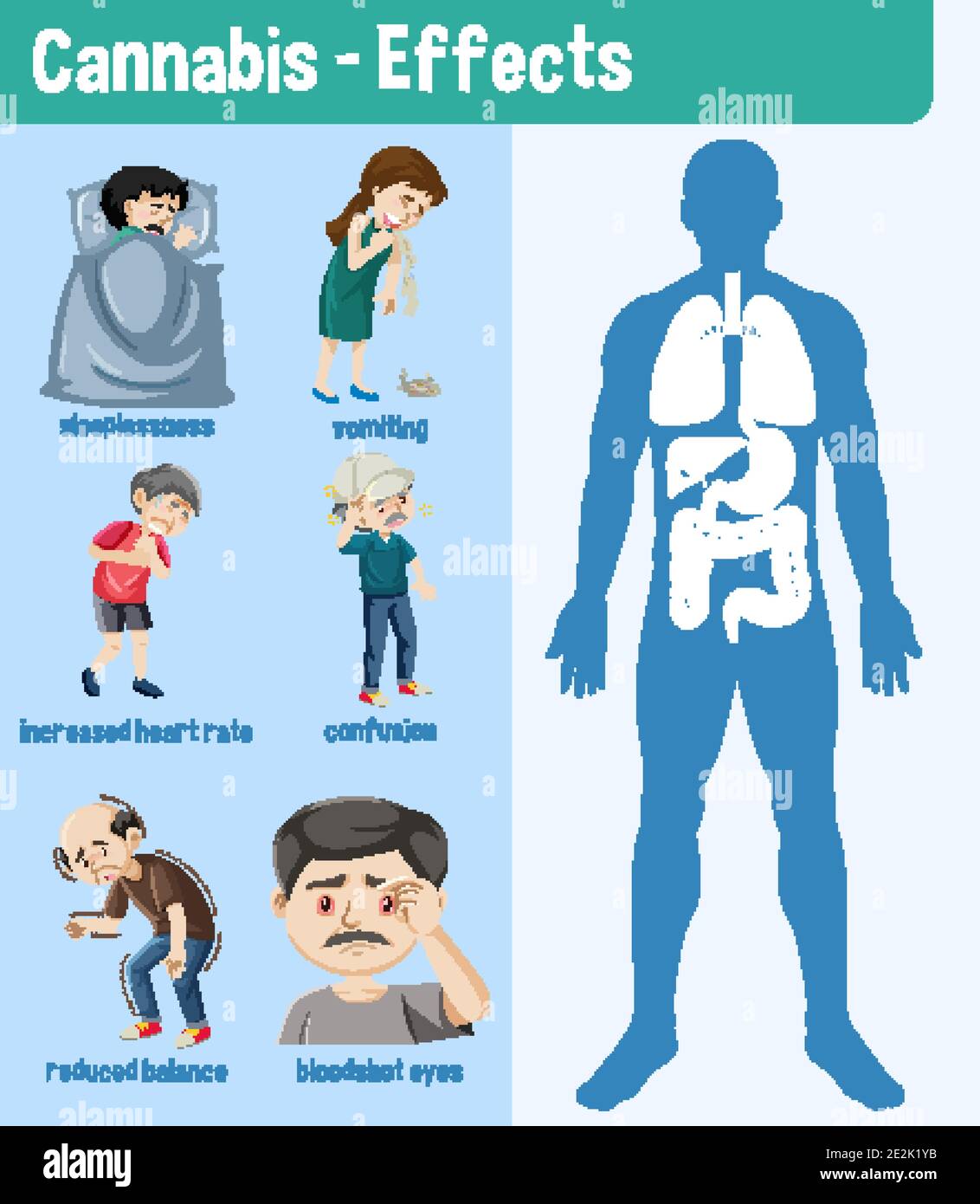 Health effects of Cannabis Infographic illustration Stock Vector Image ...