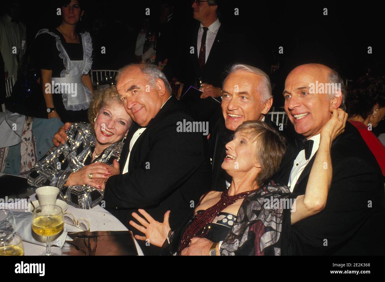 1985 1986 Ted Knight Show