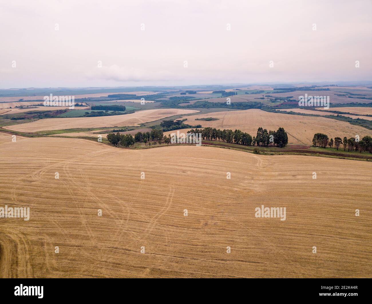 Soybean cultivation brazil hi-res stock photography and images - Alamy