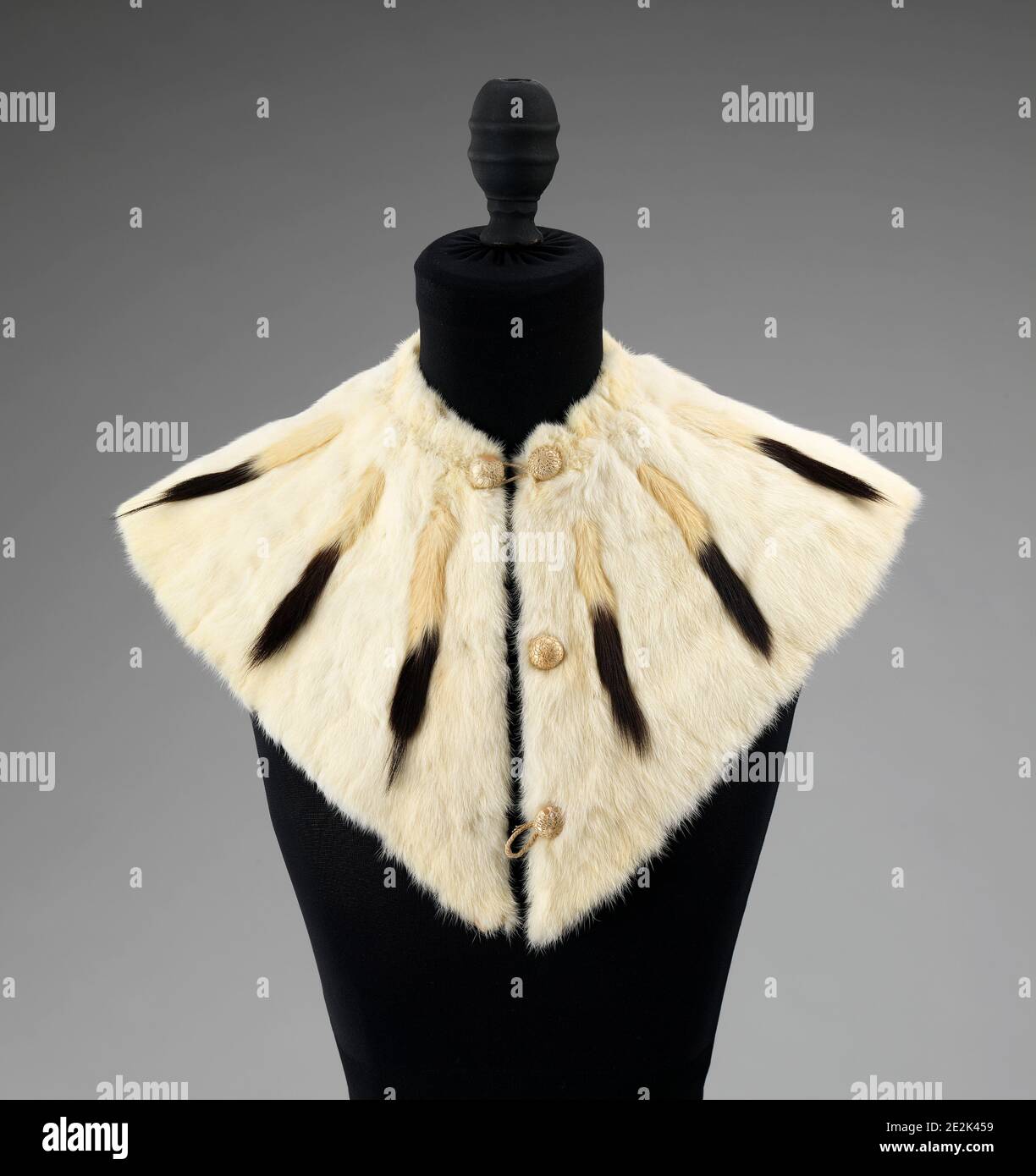 Tippet hi-res stock photography and images - Alamy