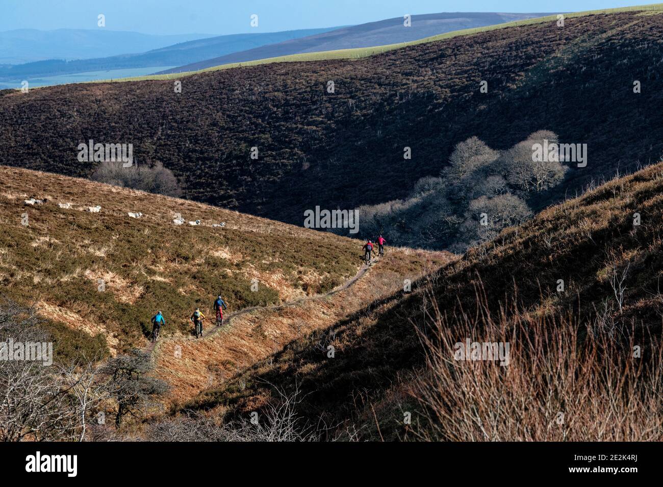 A group of mountain bikers ride a trail in Exmoor National Park Stock ...