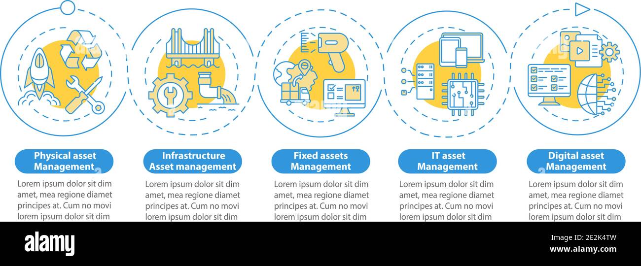 Asset control types vector infographic template Stock Vector Image ...