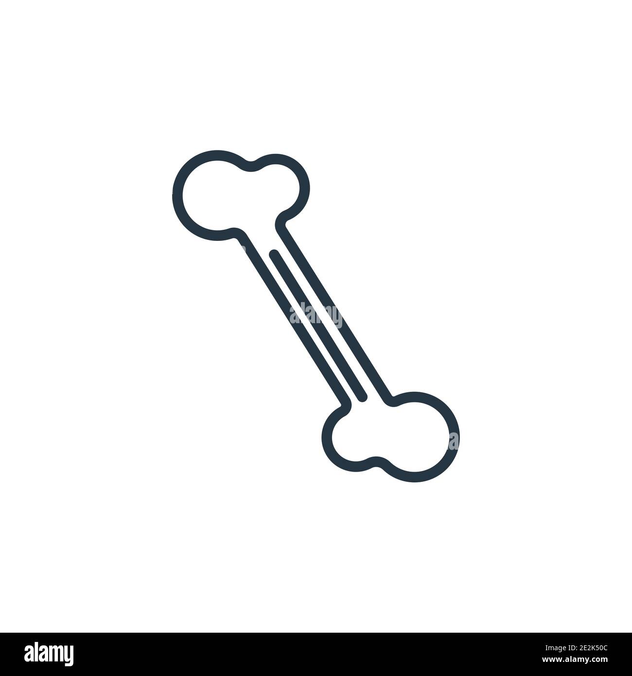 Bone outline vector icon. Thin line black bone icon, flat vector simple ...