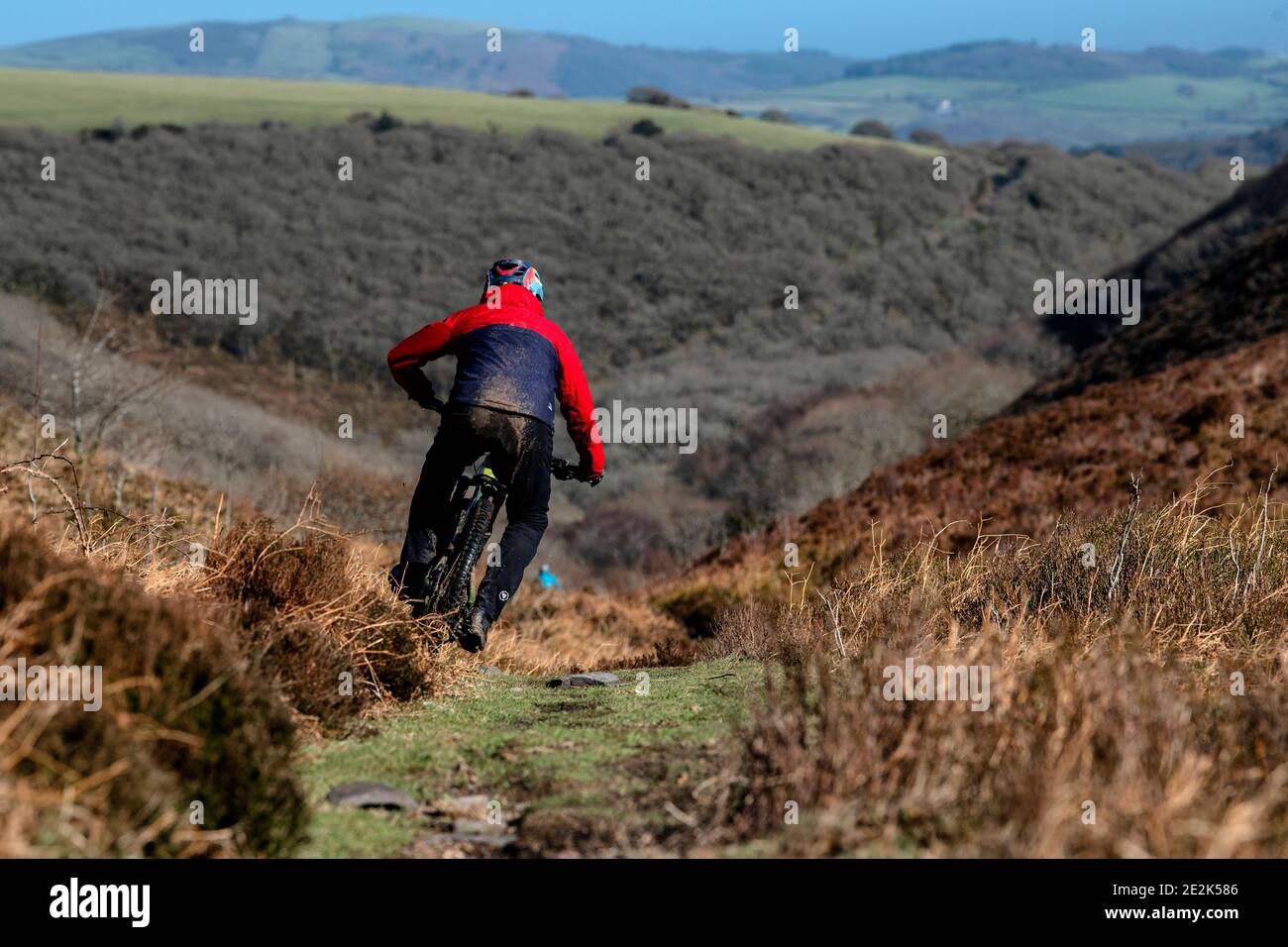 A man rides a mountain bike down a trail in Exmoor National Park Stock ...