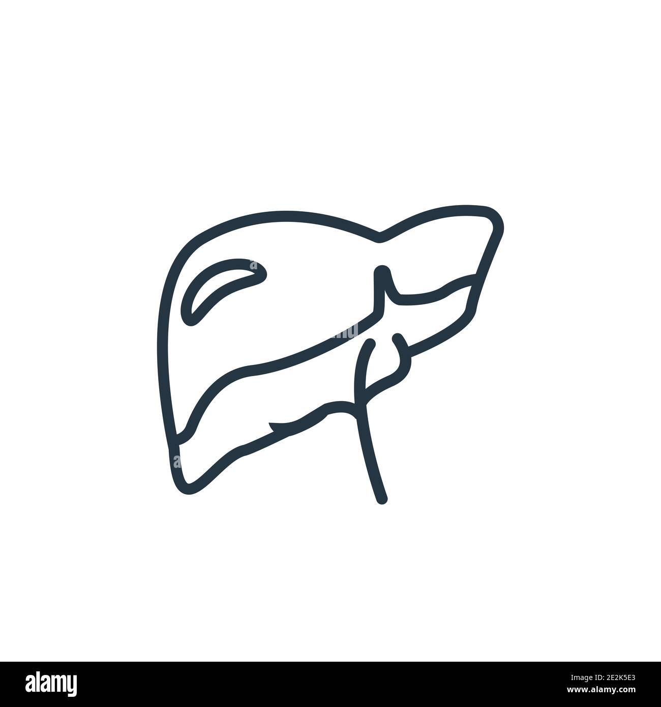 Liver outline vector icon. Thin line black liver icon, flat vector ...