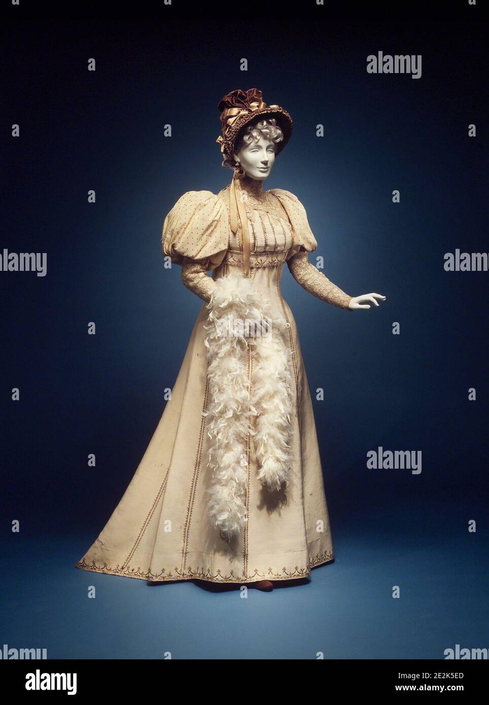 Afternoon dress, French, 1892 Stock Photo - Alamy