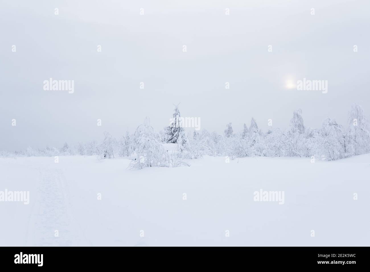 northern cold landscape - frozen forest tundra under deep snow in a ...