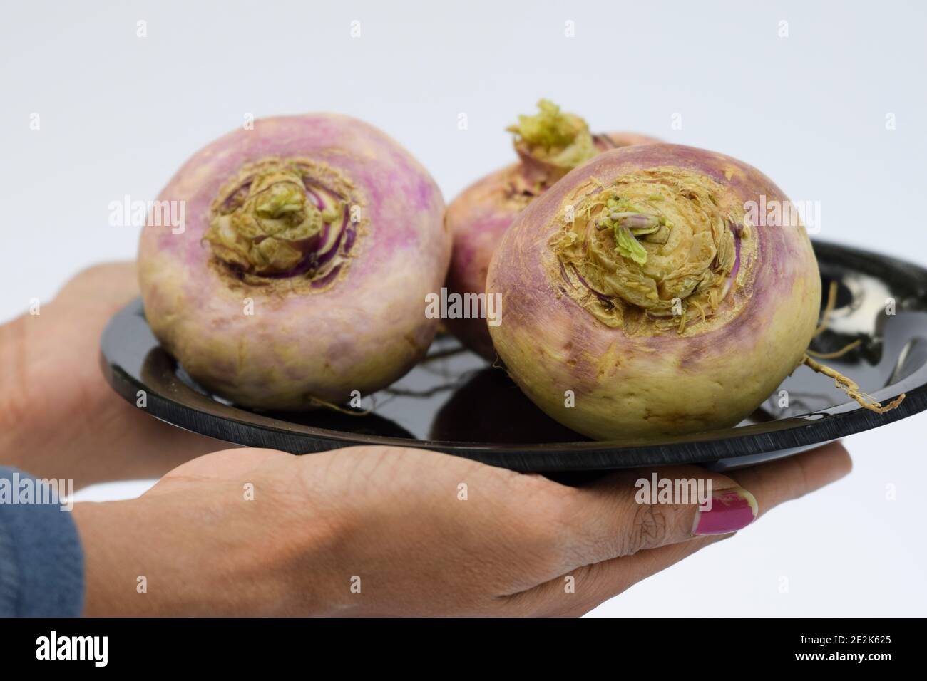 Female holding plate of Indian vegetable Turnip or Shalgam. Fresh ...