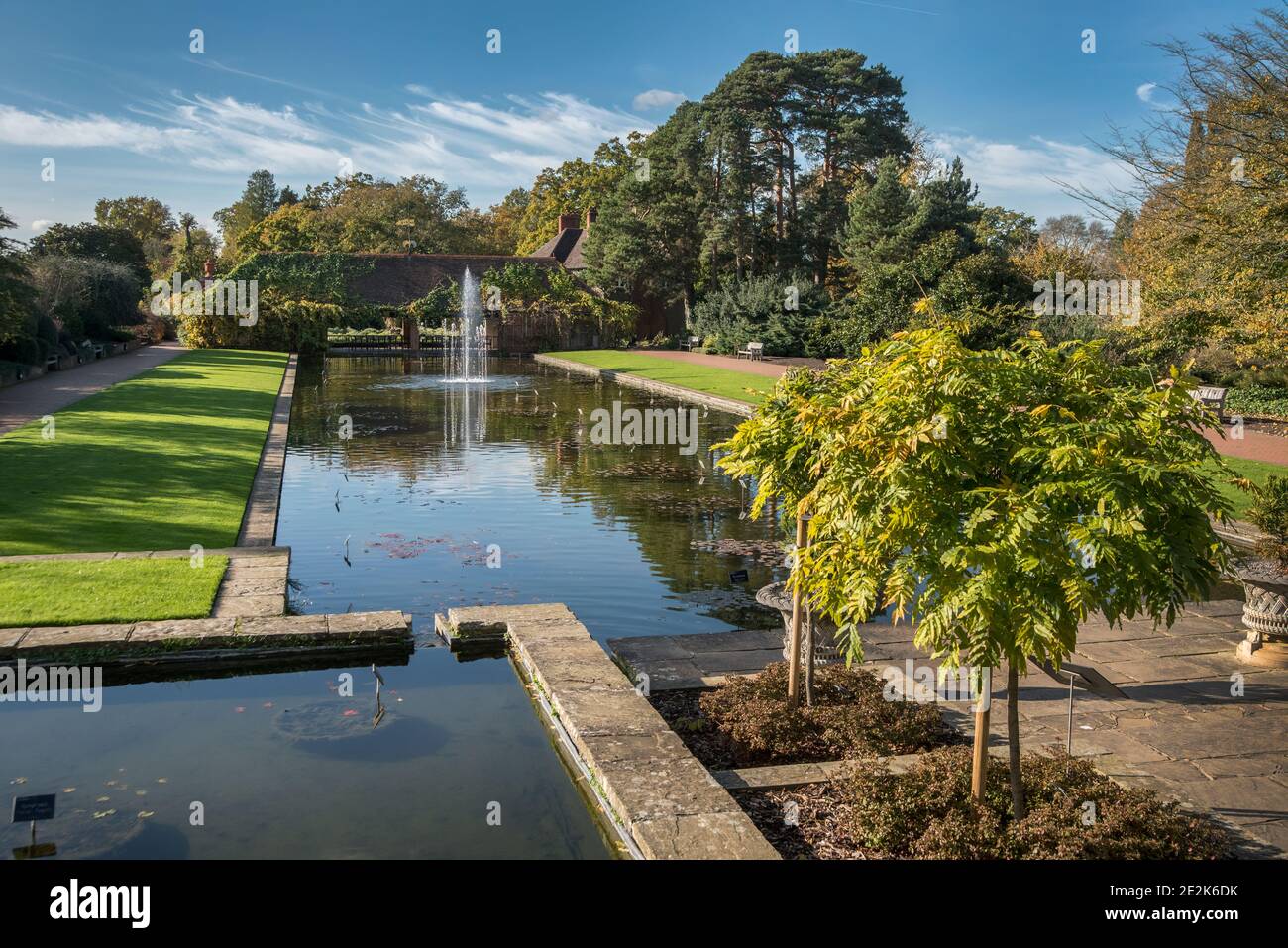 Pond at back of main house at RHS Wisley in Surrey Stock Photo - Alamy