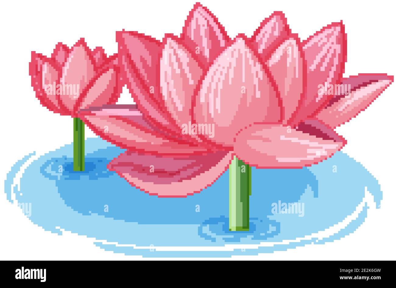 Two beautiful pink white Stock Vector Images - Alamy