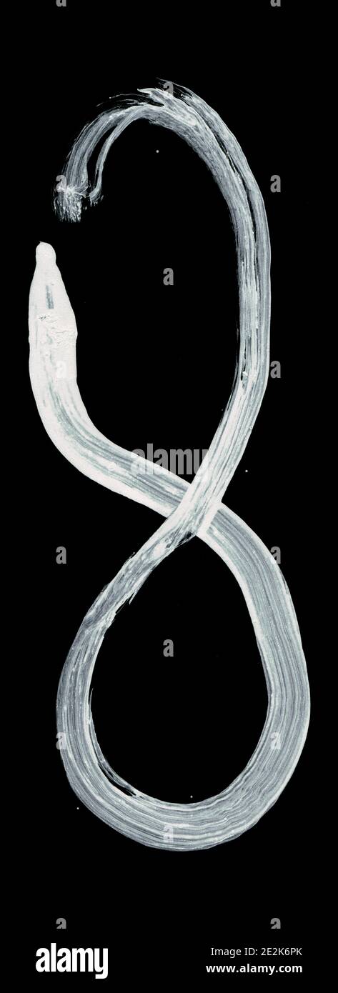 Alchemical Symbols Bismuth One Inverted Stock Photo - Alamy