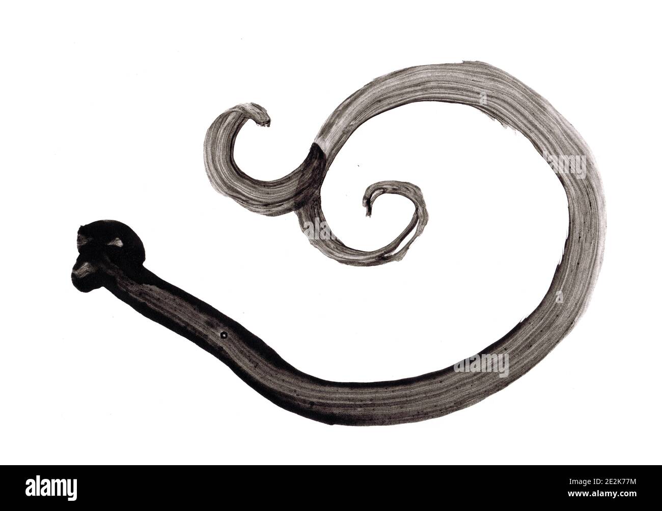 Alchemical Symbols Egg Shells Egshells Stock Photo - Alamy