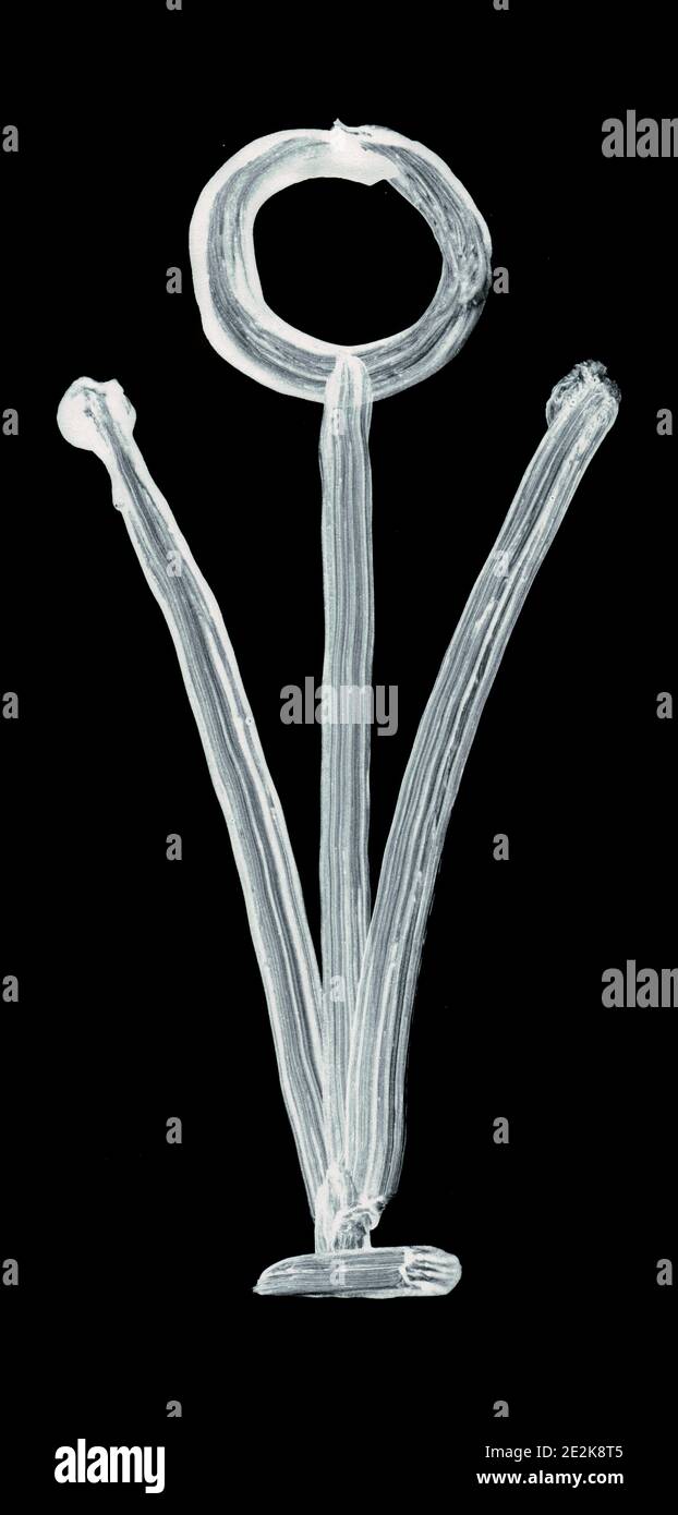 Alchemical Symbols Silver Five Inverted Stock Photo - Alamy