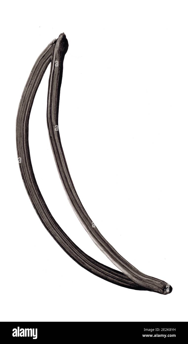 Alchemical Symbols Silver Two Stock Photo - Alamy