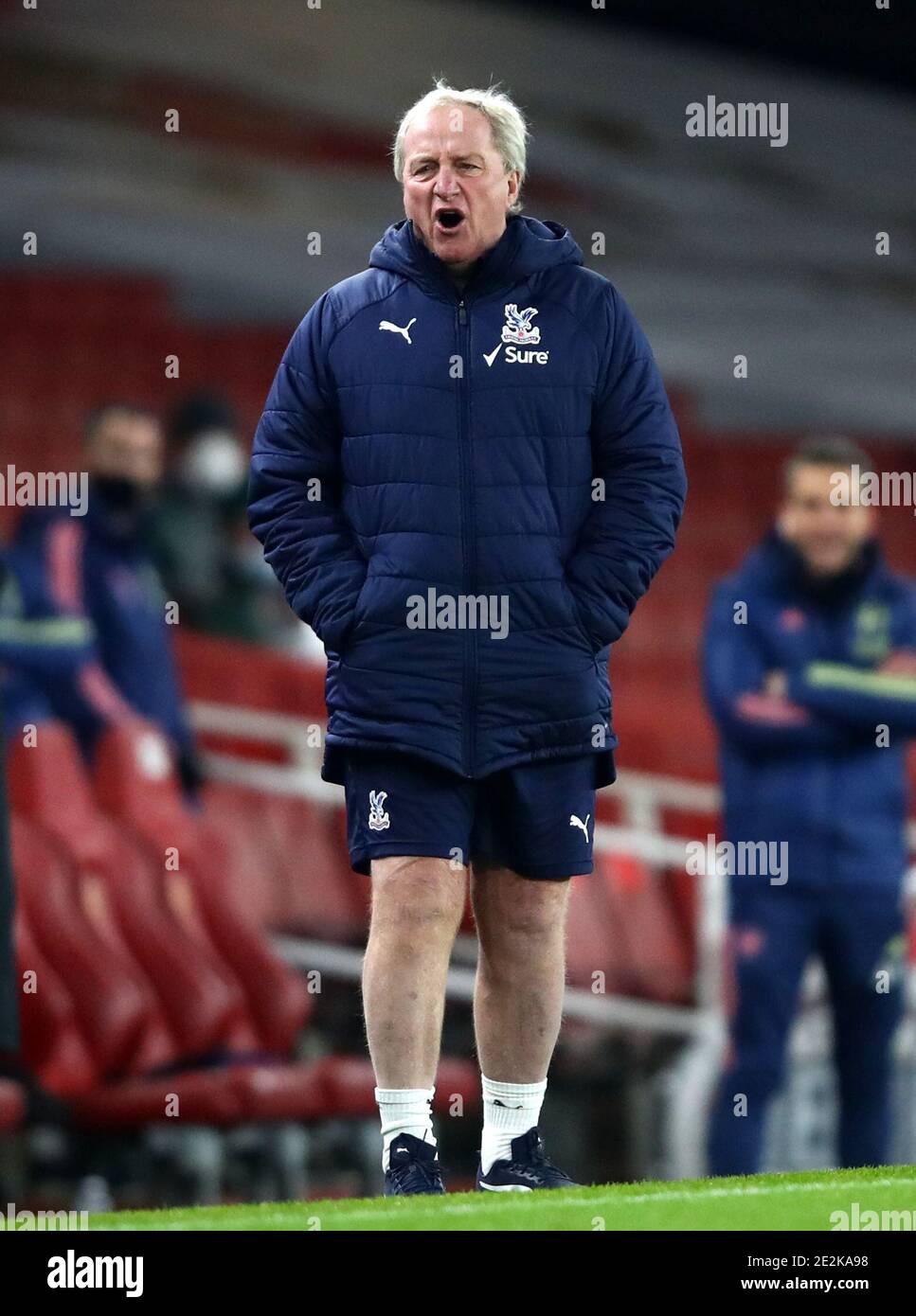 Crystal Palace assistant manager Ray Lewington during the Premier ...