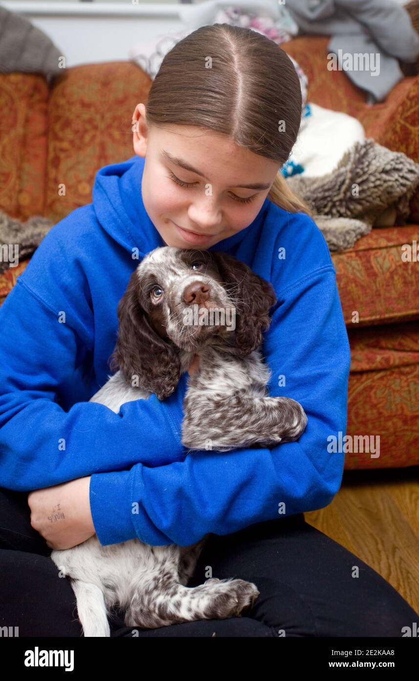 Young girl cuddling up to her new spaniel puppy Stock Photo - Alamy