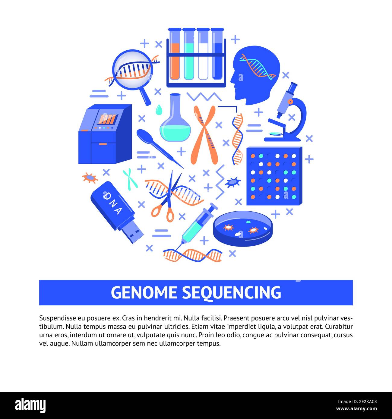 DNA genome sequencing round concept in flat style. Genetic testing and ...