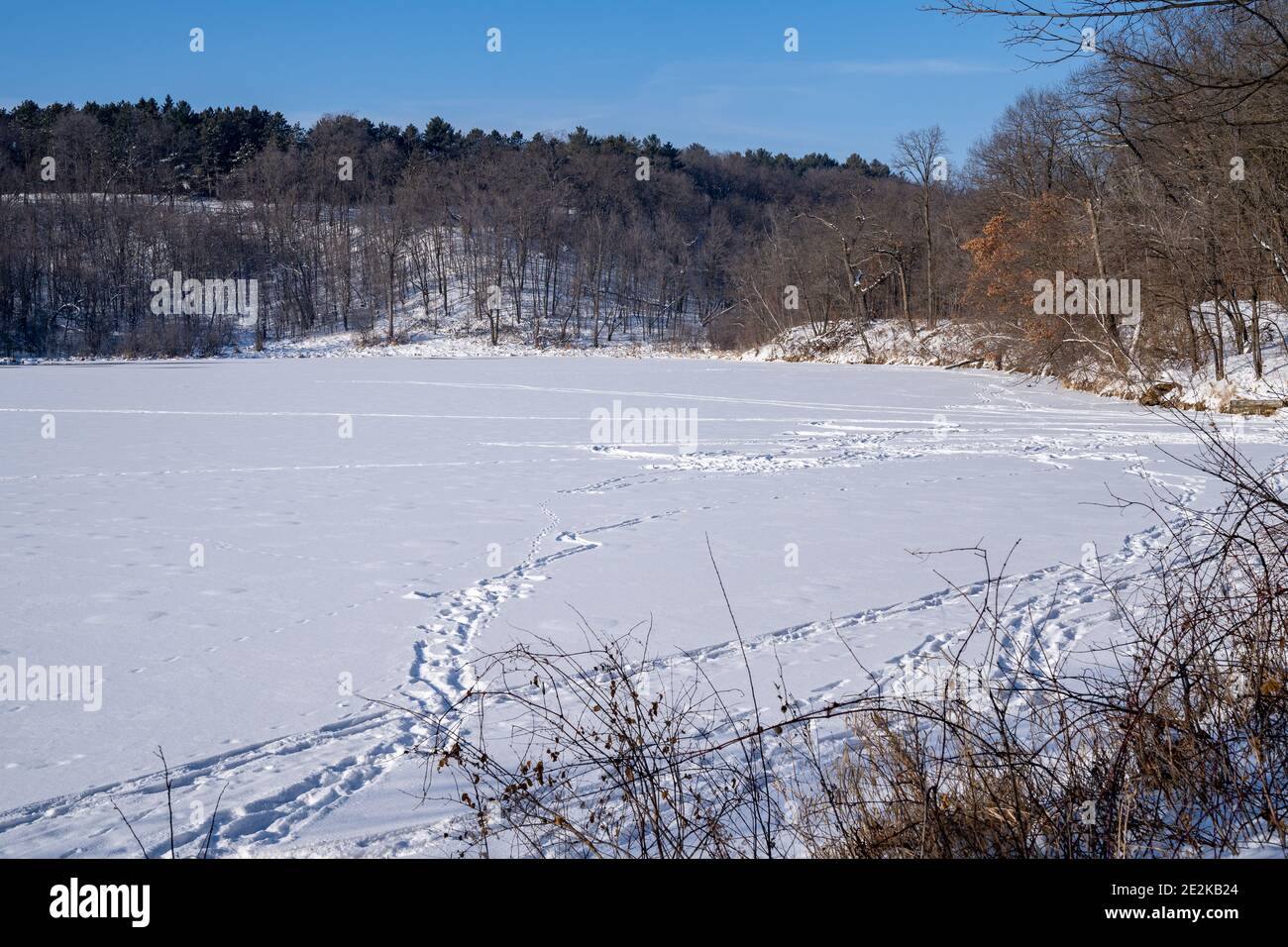 Frozen Lake Alice in winter, in William O'Brien State Park Minnesota ...
