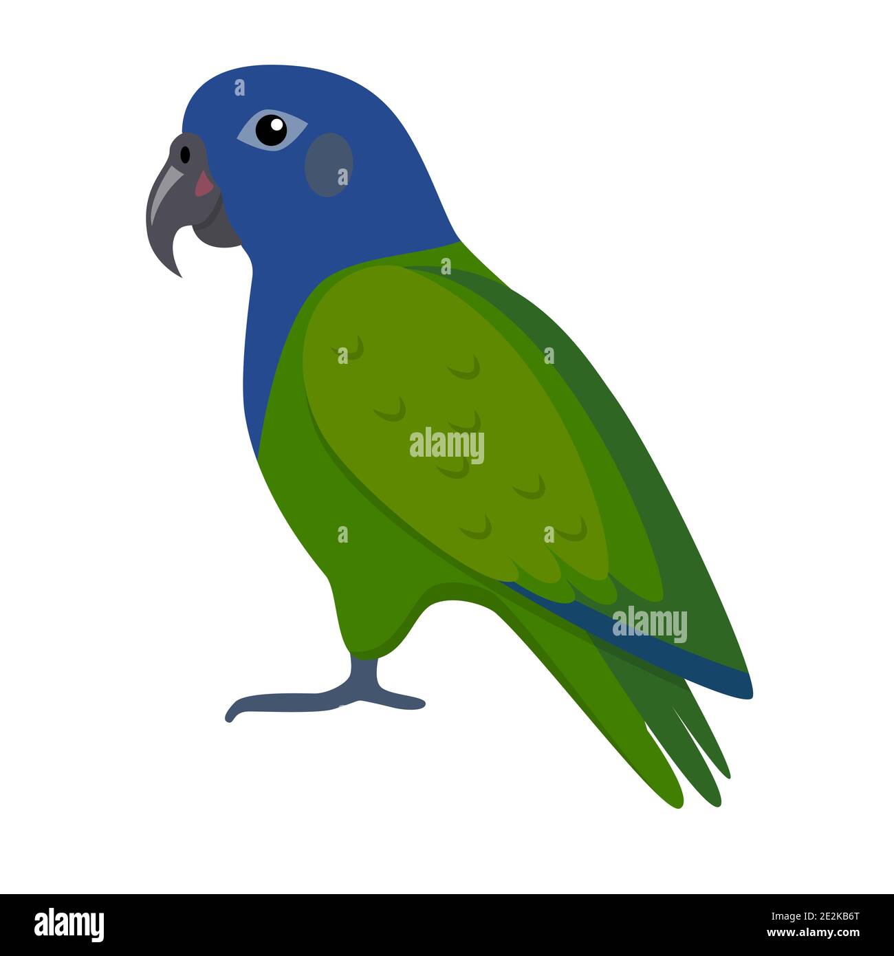 Blue-headed pionus parrot icon in flat style. Exotic tropical bird ...