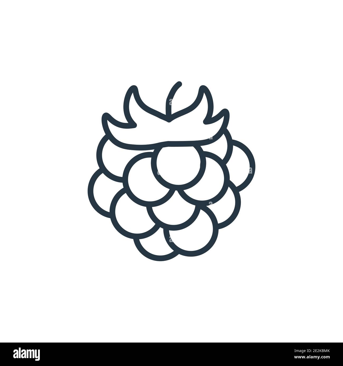 Raspberry Outline