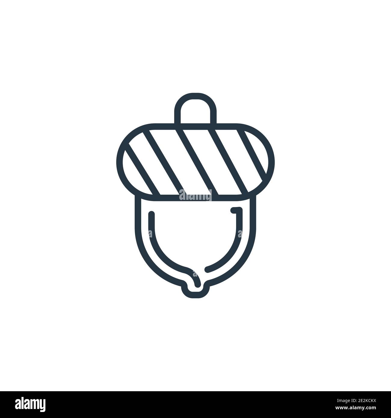 Acorn outline vector icon. Thin line black acorn icon, flat vector ...