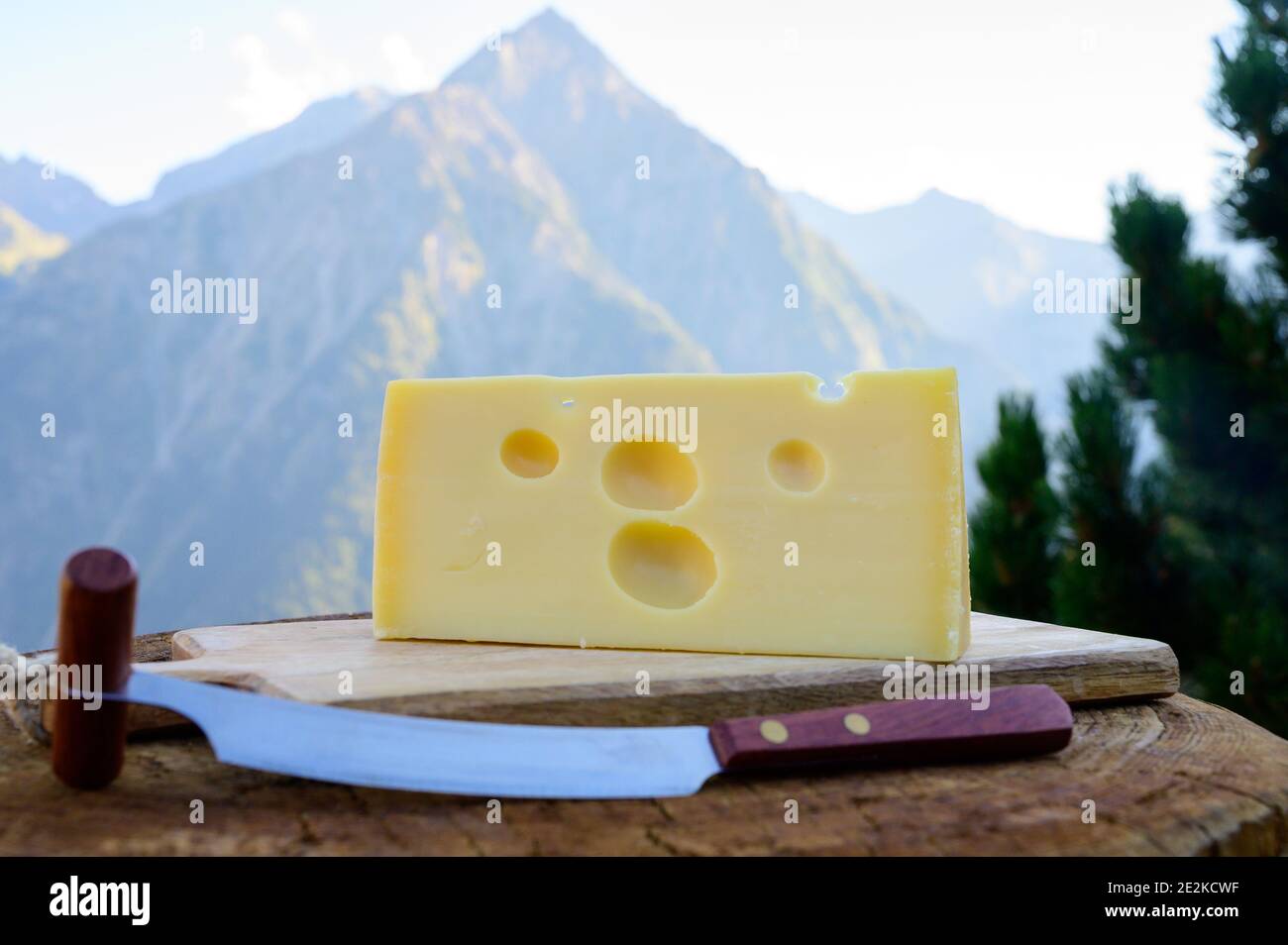 Cheese collection, French emmental de savoie cheese with round holes ...