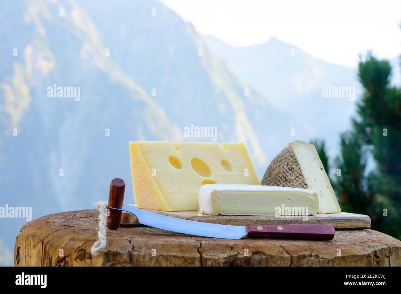 Cheese collection, French emmental, tomme and reblochon de savoie ...