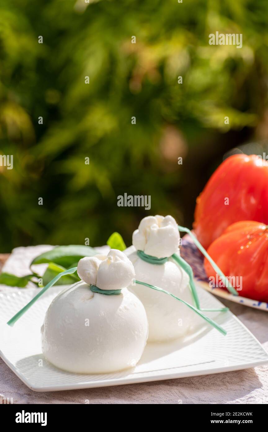 Fresh italian white soft cheese burrata or burratina served on outdoor ...