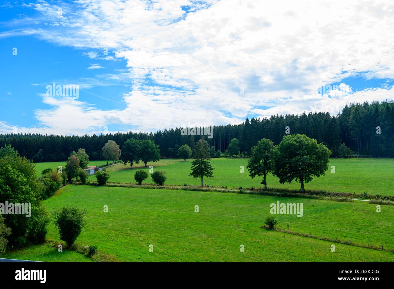 Green meadows in French Prealps, nature background, summertime Stock ...